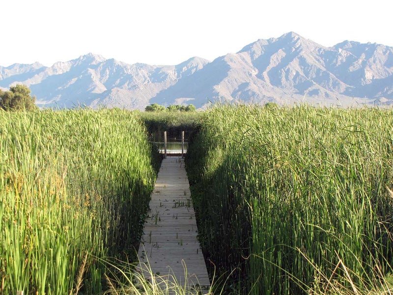 About Tres Rios | City of Phoenix