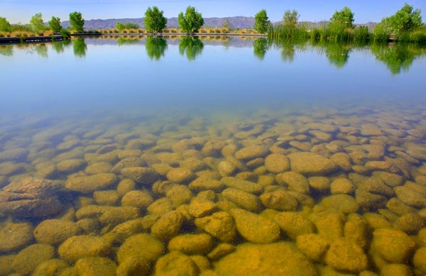 Rio Salado Habitat Restoration Area | City of Phoenix