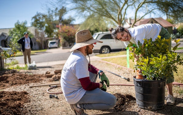 Tree Shade Programs | City of Phoenix