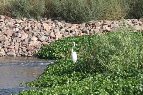 Environmental Excellence | City of Phoenix